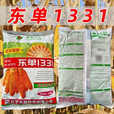 东单1331玉米种子高杆大棒高产抗病大田种植专用耐储耐运粮食玉米