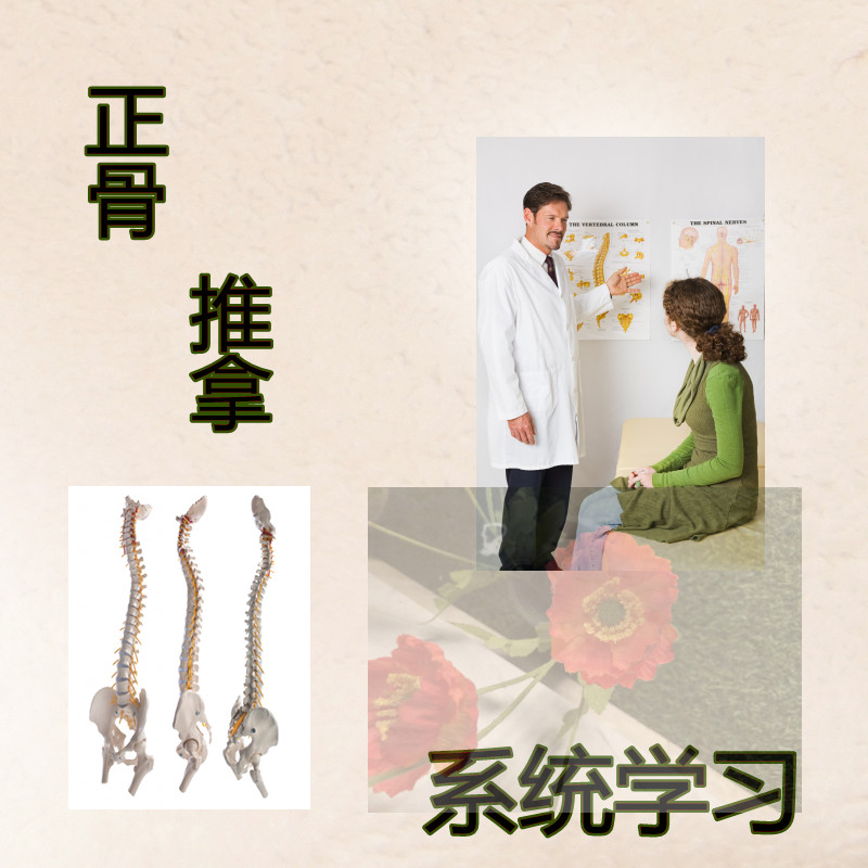2021年正骨系统学习手法视频入门到进阶中医柔性推拿按摩整脊教程