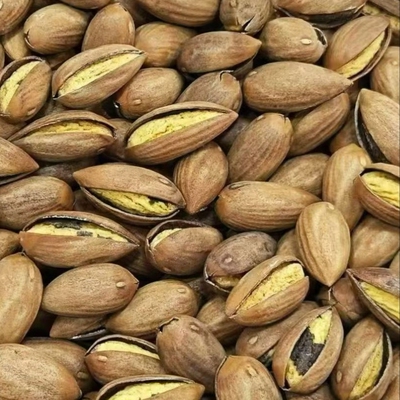 春节每天发货2025年新采新炒开口香榧诸暨嵊州枫桥特产香非子手剥