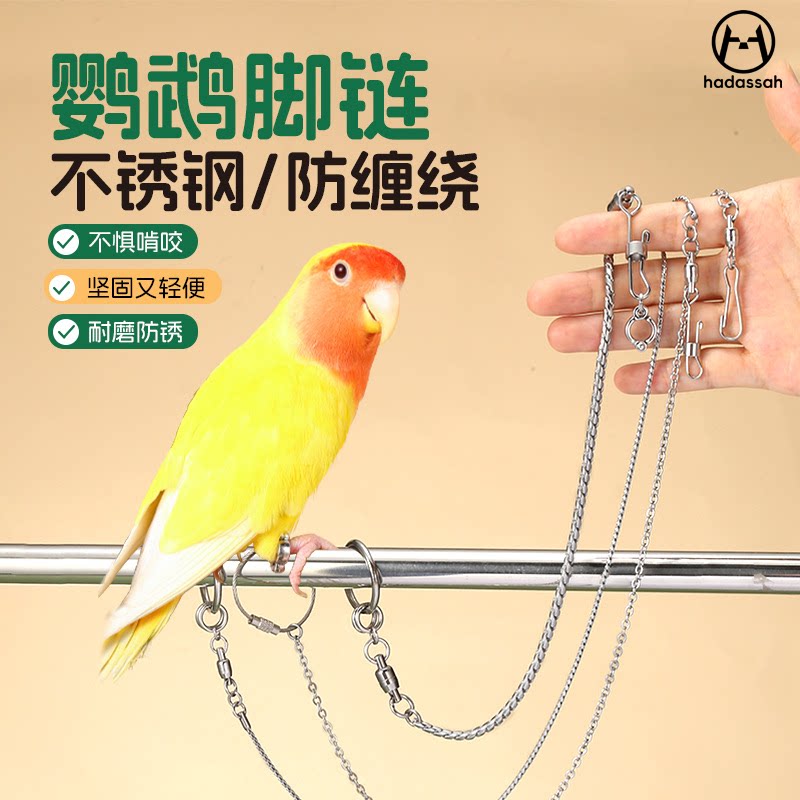 玄鸟鹦鹉脚链不伤脚超轻脚环灰机小太阳站架专用防脱扣鸟用放飞绳