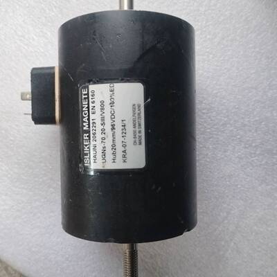 可议价ISLIKER MAGNETE电机