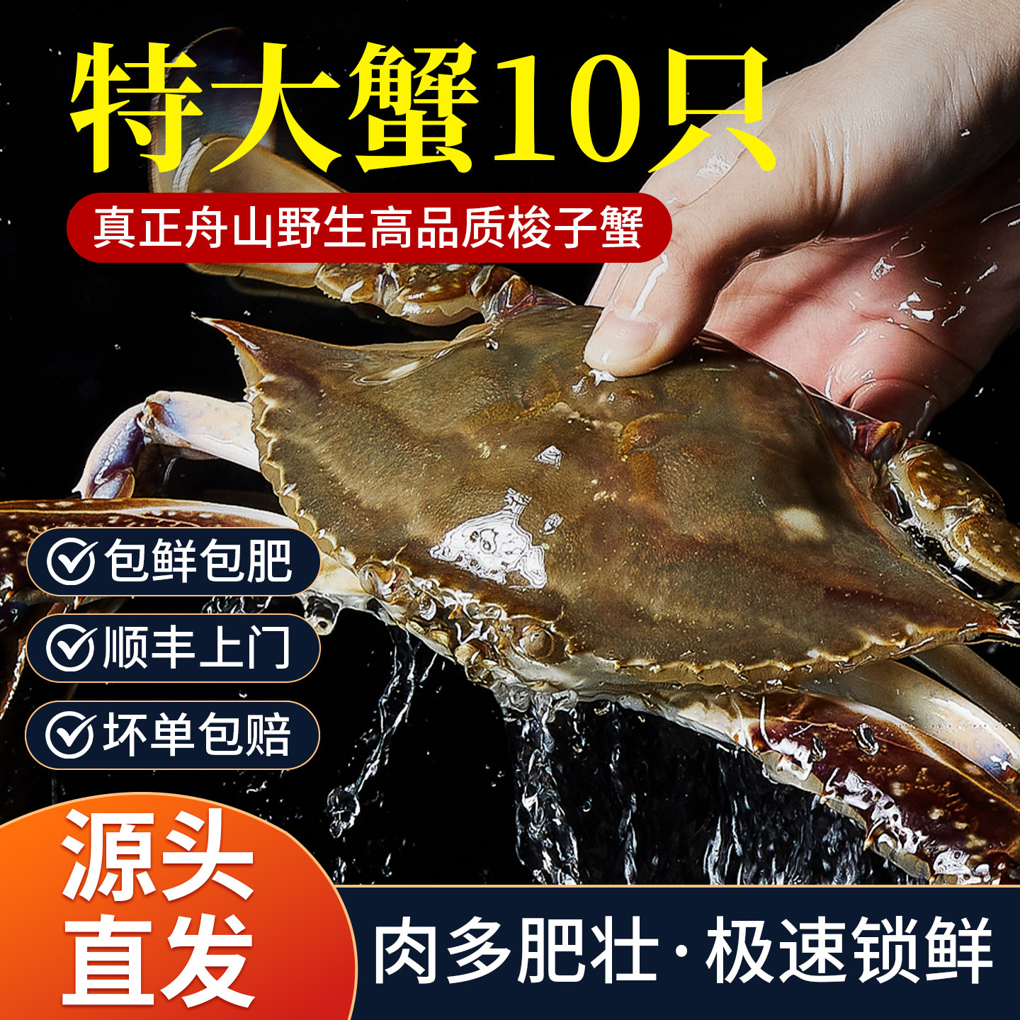 梭子蟹新鲜冷冻特大10只舟山野生螃蟹海鲜飞蟹白蟹顺丰冻蟹肉蟹