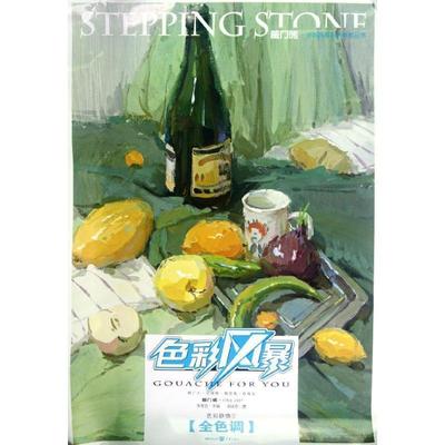 【正版书】 色彩风暴 色彩静物①全色调 吴国然著 重庆出版社