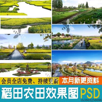 乡村稻田麦田梯田菜地贴图ps素材psd免扣田园景观农田鸟瞰效果图