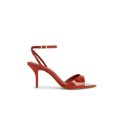 Schutz ELODIE BUCKLE 凉鞋 26春夏新品 revolve小众新款