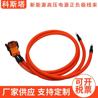 厂家供应新能源高压电源正负极线束 安费诺HVC2P80FV235-006