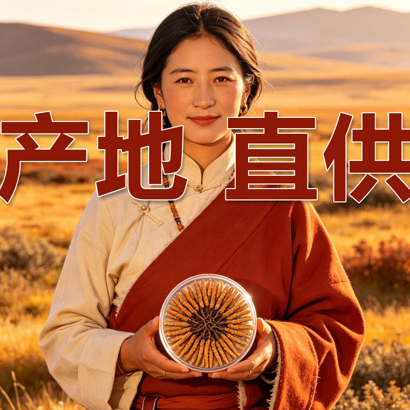 产地直供冬虫夏草靓货4根1克 性价比自用泡酒虫草顺丰包邮