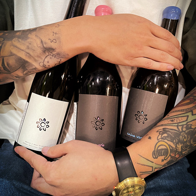 安多芬小花玛丽粉浆果大爆炸