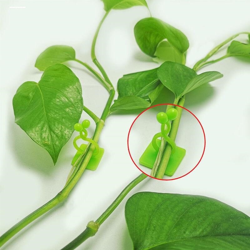 绿萝爬墙神器固定器绿植攀爬夹子卡扣固定夹挂钩强力粘爬藤杆