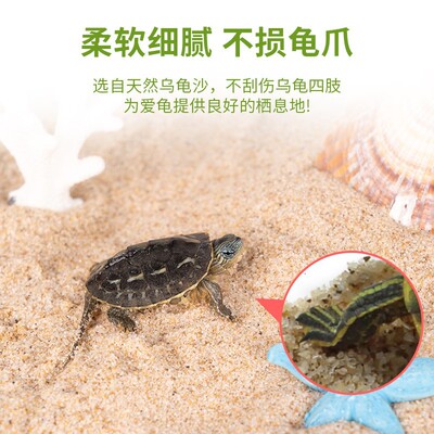 Natural turtle hatching sand fish tank decor aquarium stones