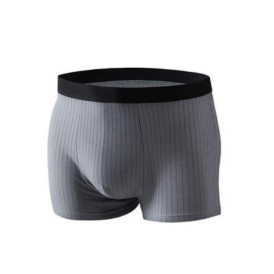 Boxer Brief Underpants Underwear Shorts For Men Short Pants