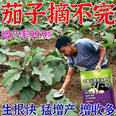 茄子专用肥料叶面黑亮增