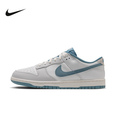 NIKE耐克男鞋新款DUNK低帮复古板鞋轻便百搭运动休闲鞋JA4815-101