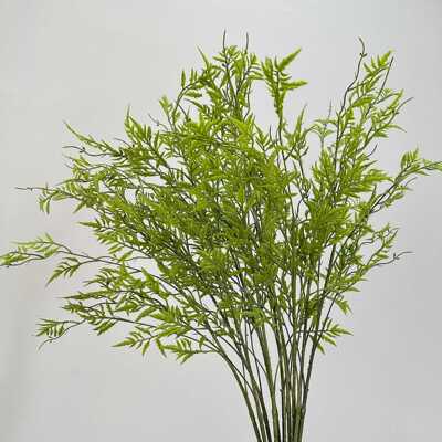 仿真波斯叶海金沙蕨叶蕨类植物