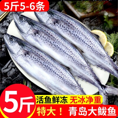 燕鲅鱼新鲜冷冻青条鱼净重5斤5-6条马鲛鱼青占鱼深海鱼海鲜水产