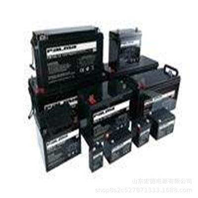 PALMA蓄电池PM38-12铅酸免维护12V38AH机房UPS/EPS直流屏基站
