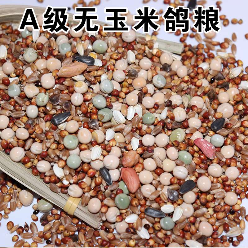 鸽粮无玉米鸽粮鸽子料鸟食饲料营养鸽粮信鸽赛鸽幼鸽观赏鸽粮申恒