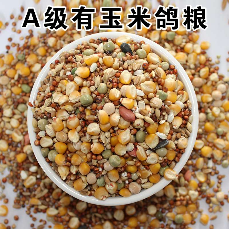 鸽粮20斤包邮有玉米鸽子饲料鸽粮信鸽赛鸽观赏鸽青年鸽幼鸽鸽申恒