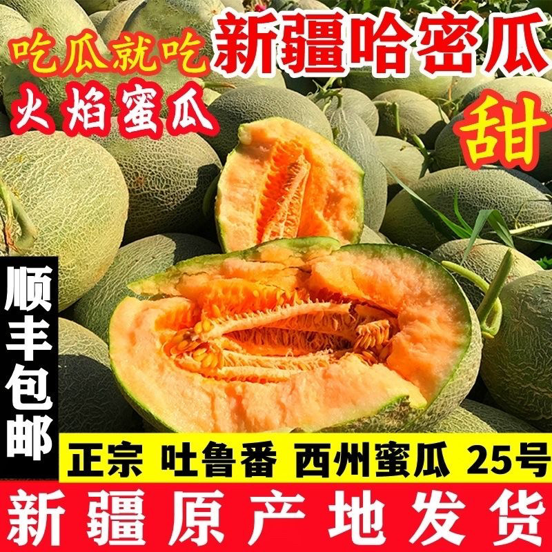 【新疆直发】正宗新疆哈密瓜吐鲁番西州蜜25号新疆当季甜瓜香瓜脆