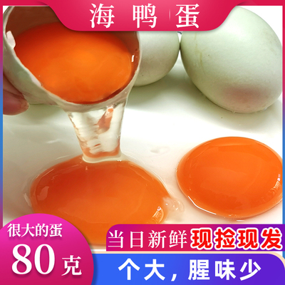 新鲜鸭蛋正宗矮树林海农家散养