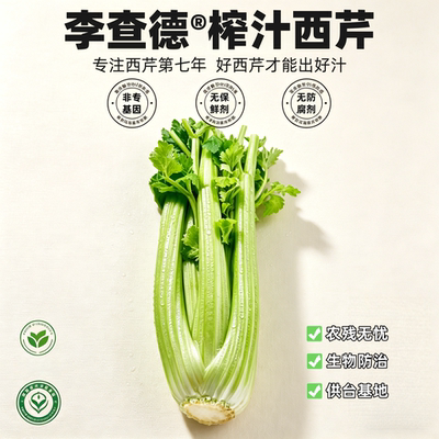 李查德®去叶脆嫩西芹榨汁专用