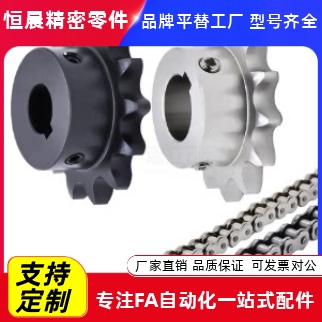 链轮SP80B9 10 12 13 14 15 16 17 18 19 20 21-N-25 28 30 32 35