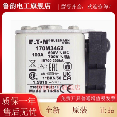 170M3460 170M3461 170M3462 170M3463 170M3464 博士曼熔断器芯