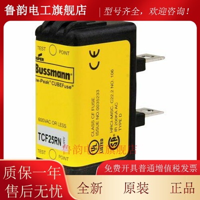 BUSSMANN延时熔断器TCF 1/3/6/10/15/20/25/30/35/40/45/50/60RN