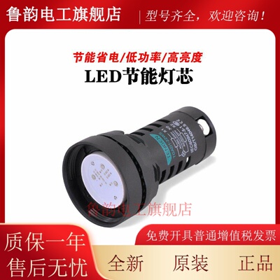 TENGEN天正 TGAD1-22WN接地指示器信号灯LED灯48V 220V开孔22