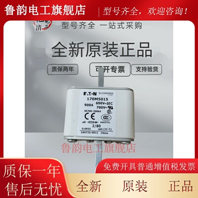 170M5062 170M5163 170M5015 170M5218 170M5213 巴斯曼熔断器