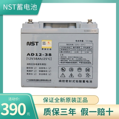 拿斯特NST原装集中电源蓄电池