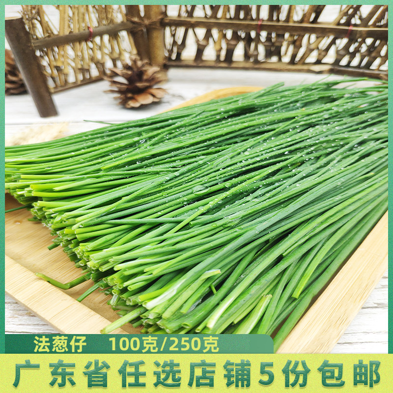 新鲜虾夷葱西洋细葱 Chives小葱法葱仔细香葱_虎窝淘