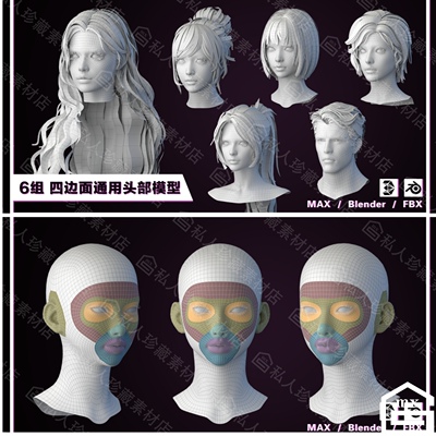 6组男女头部脸部眼睛头发毛发3D模型fbx MAYA C4D 3dmax Blender