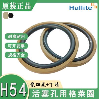 日本进口孔用格莱圈密封件