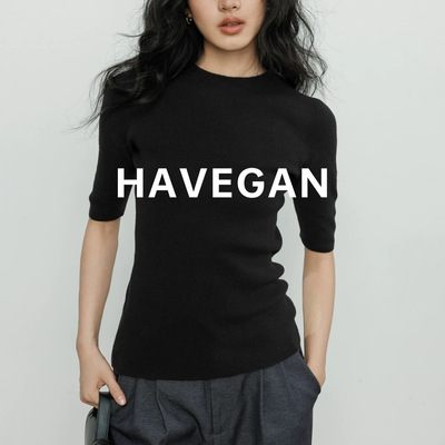与间HAVEGAN/半高领正肩基础针织T恤女秋季半袖修身弹力打底衫