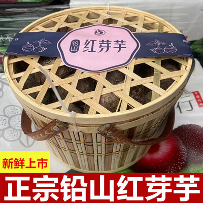 新货铅山红芽芋新鲜芋头5