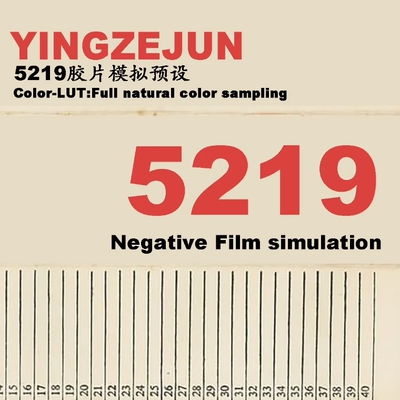 英泽君啊柯达Kodak 5219胶片模拟Lr预设 像素蛋糕手机调色ps滤镜
