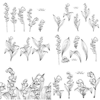 黑白钢笔风格矢量铃兰花组合素材高清PNG/EPS/AI 322006