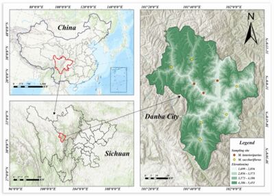 GIS制图/研究区概况图/采样点图/分布图/地理位置图/高程水系图