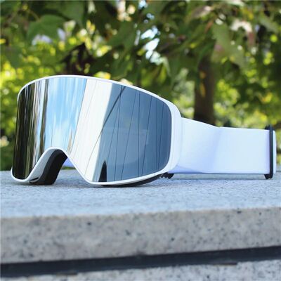 Magnetic Lens Snow Goggles Double Layer Anti-Fog UV Protecti