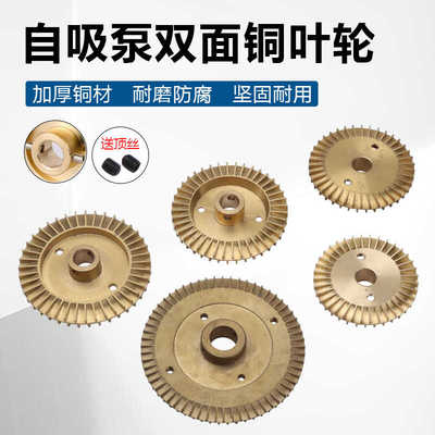 双面顶丝370W550W750W水叶旋涡泵