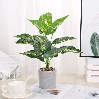 北欧仿真植物摆件绿箩万年青绿植龟背叶芋头盆栽假花装饰