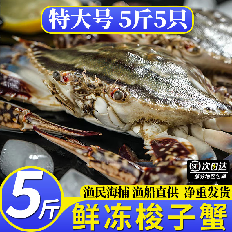 特大梭子蟹野生舟山宁波大螃蟹冻蟹新鲜冷冻肉蟹急冻公蟹白蟹顺丰