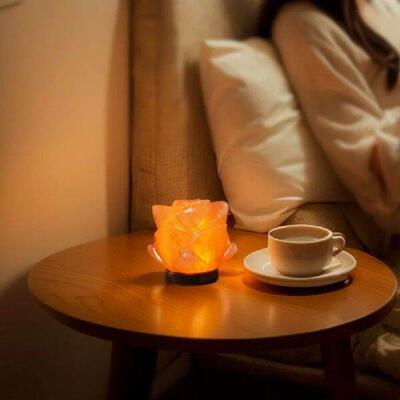 Himalayan Salt Lamp LED Night Light with Base Crystal Salt