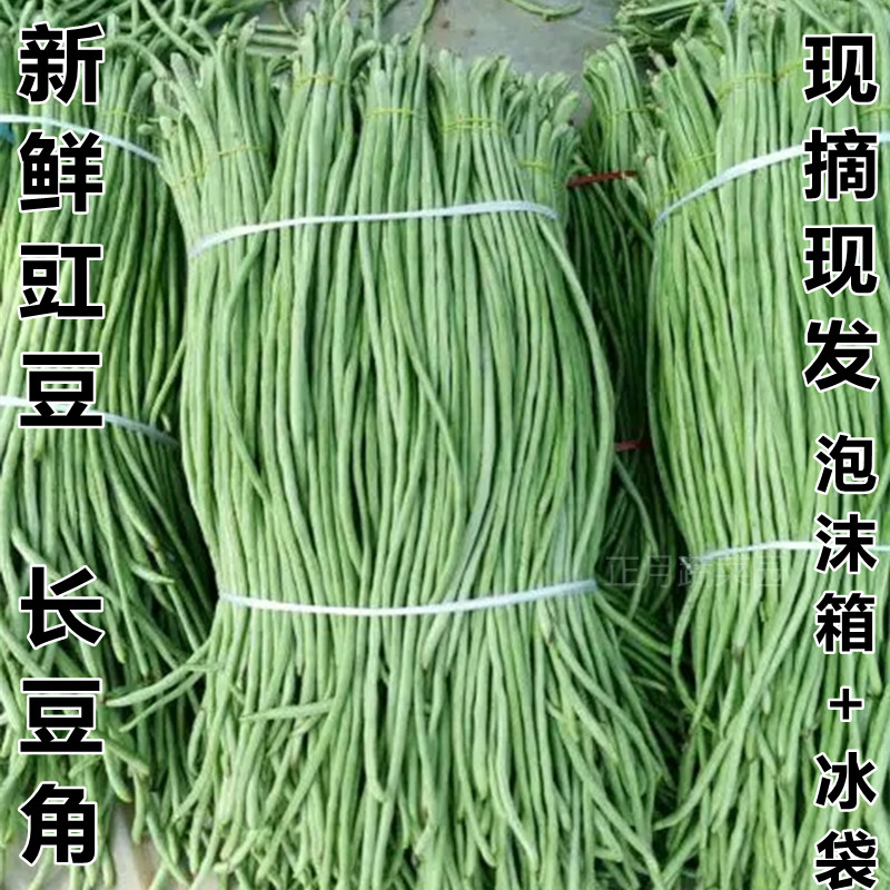 河南豇豆新鲜 长豆角新鲜包邮 农家自种当季现摘时令蔬菜 净2-5斤