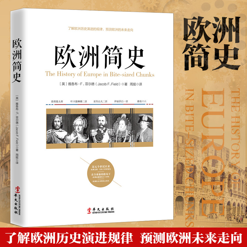 正版 欧洲简史 欧洲古典中世纪简史 拜占庭帝国史 查理曼大帝 意大利文艺复兴拿破仑战争英法俄乌世界西方历史书籍