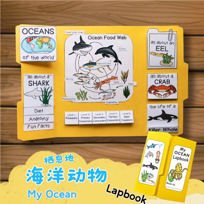海洋动物栖息地Ocean Lapbook小学英语手工翻翻书diy素材料包教具