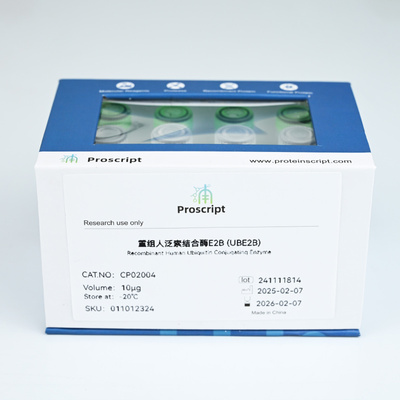 重组人泛素结合酶E2B (UBE2B)  CP02004  科研试剂  助力科研突破