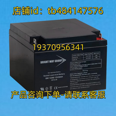 BRIGHT WAY GROUP 电池 BRIGHTWAYGROUP BW12260 12V26AH HX12-26