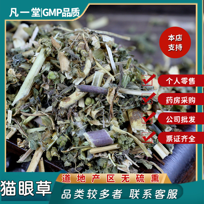 中药材中草药猫眼草泽漆